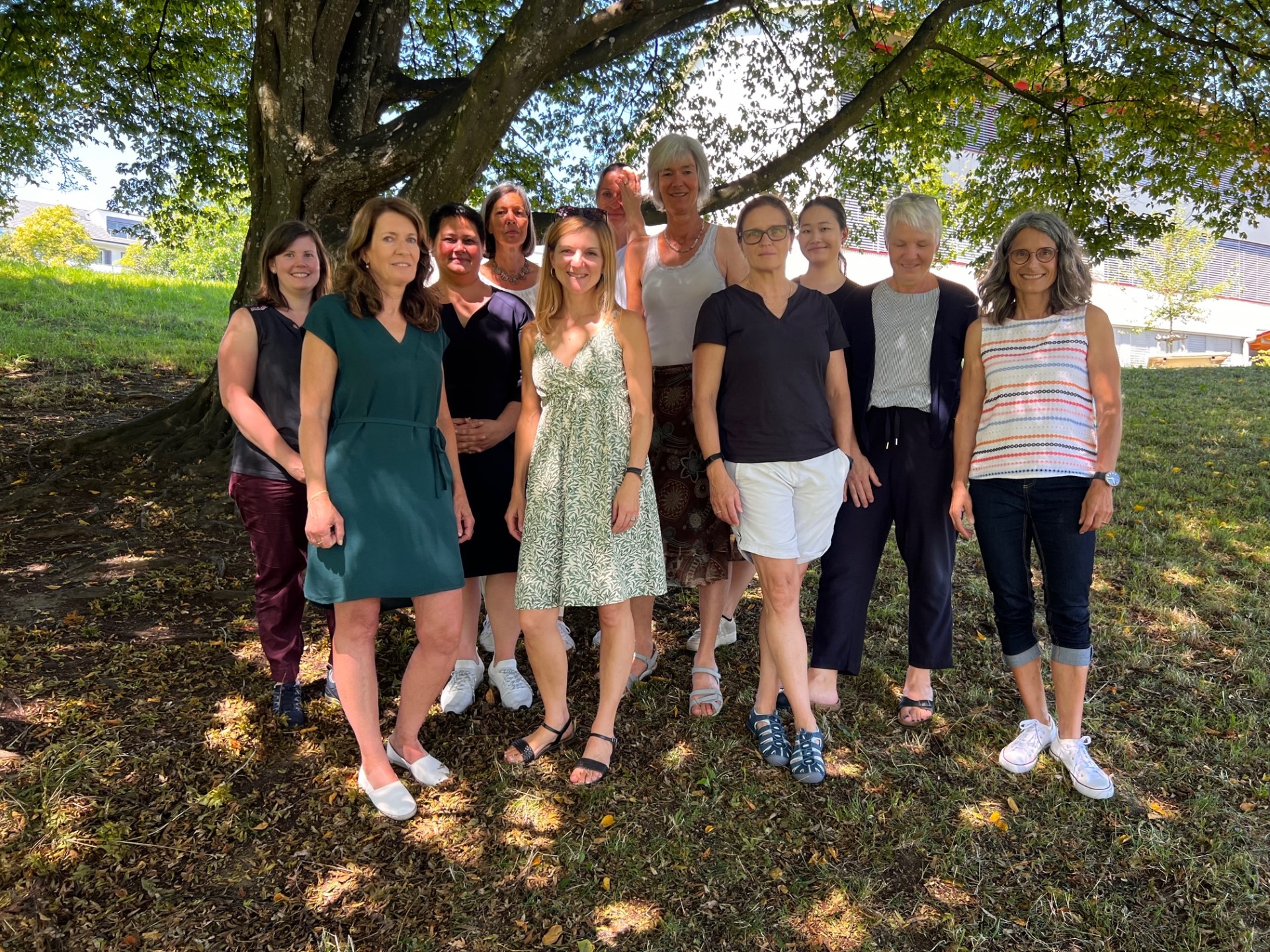 Organisation – Schule Beinwil am See